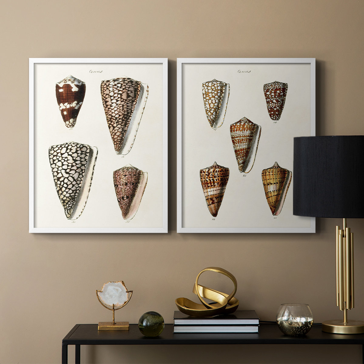 Wexford Home Cone Shell Collection I-Premium Framed Print -Ready to ...