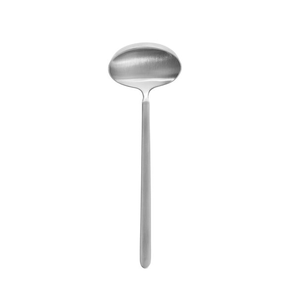 Stainless Steel Ladle | AllModern