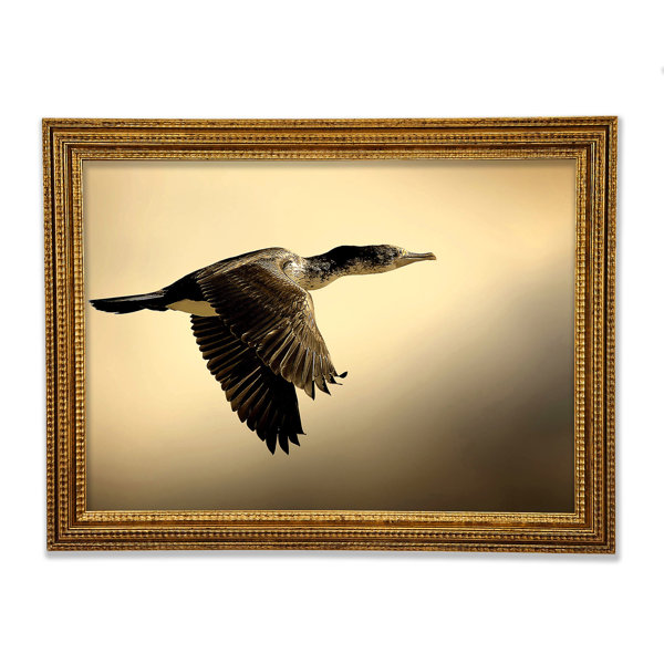 Ebern Designs Shag Bird - Single Picture Frame Print | Wayfair.co.uk