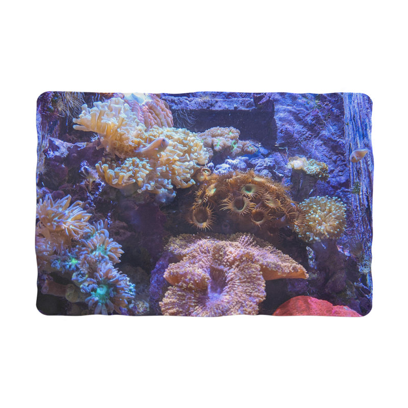 Tucker Murphy Pet™ Aquariumfishtank2 Sublimation Pet Blanket | Wayfair