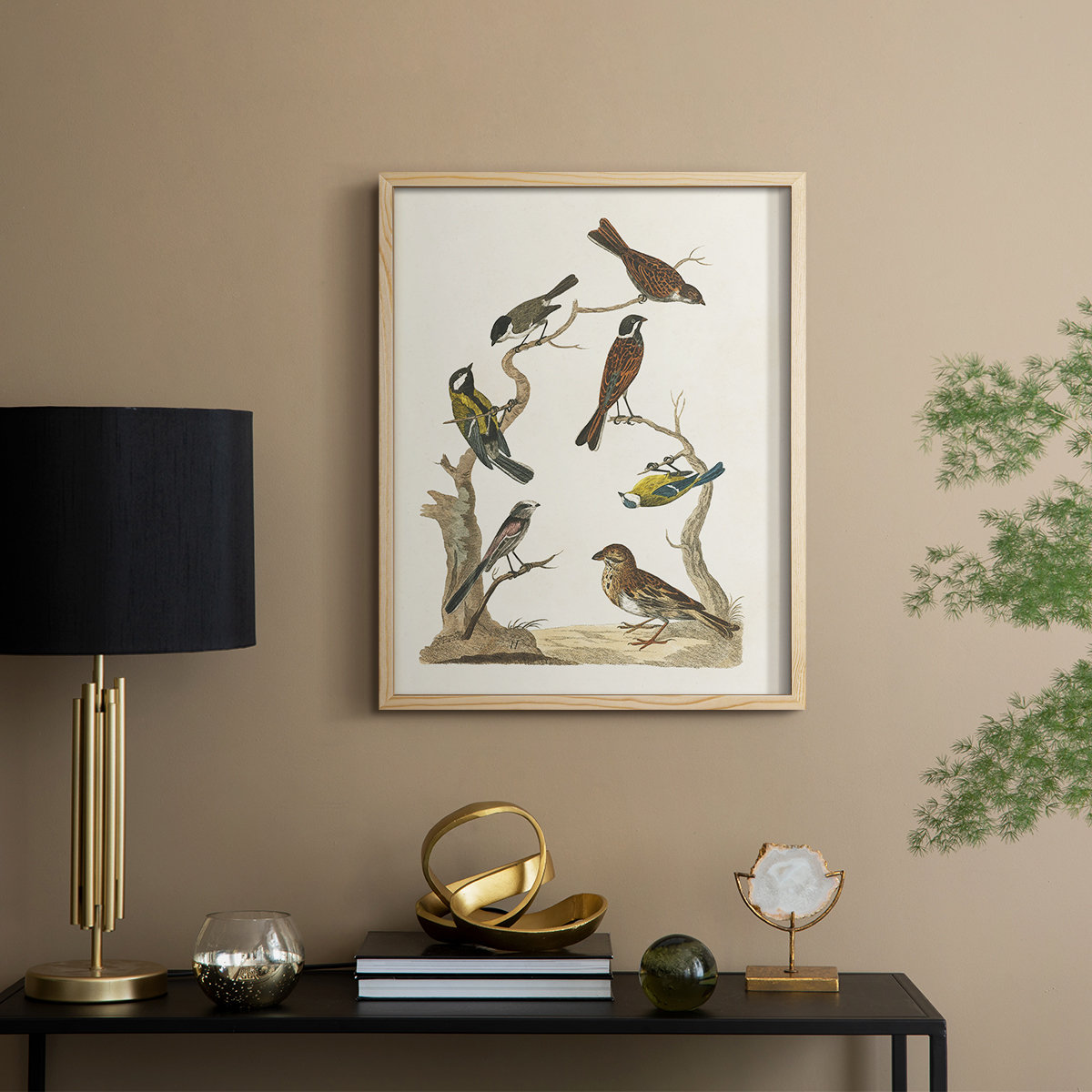 Ophelia & Co. Antique Birds in Nature II Framed Print - Solid Wood ...