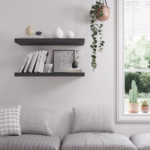 Wayfair | Black Shelves