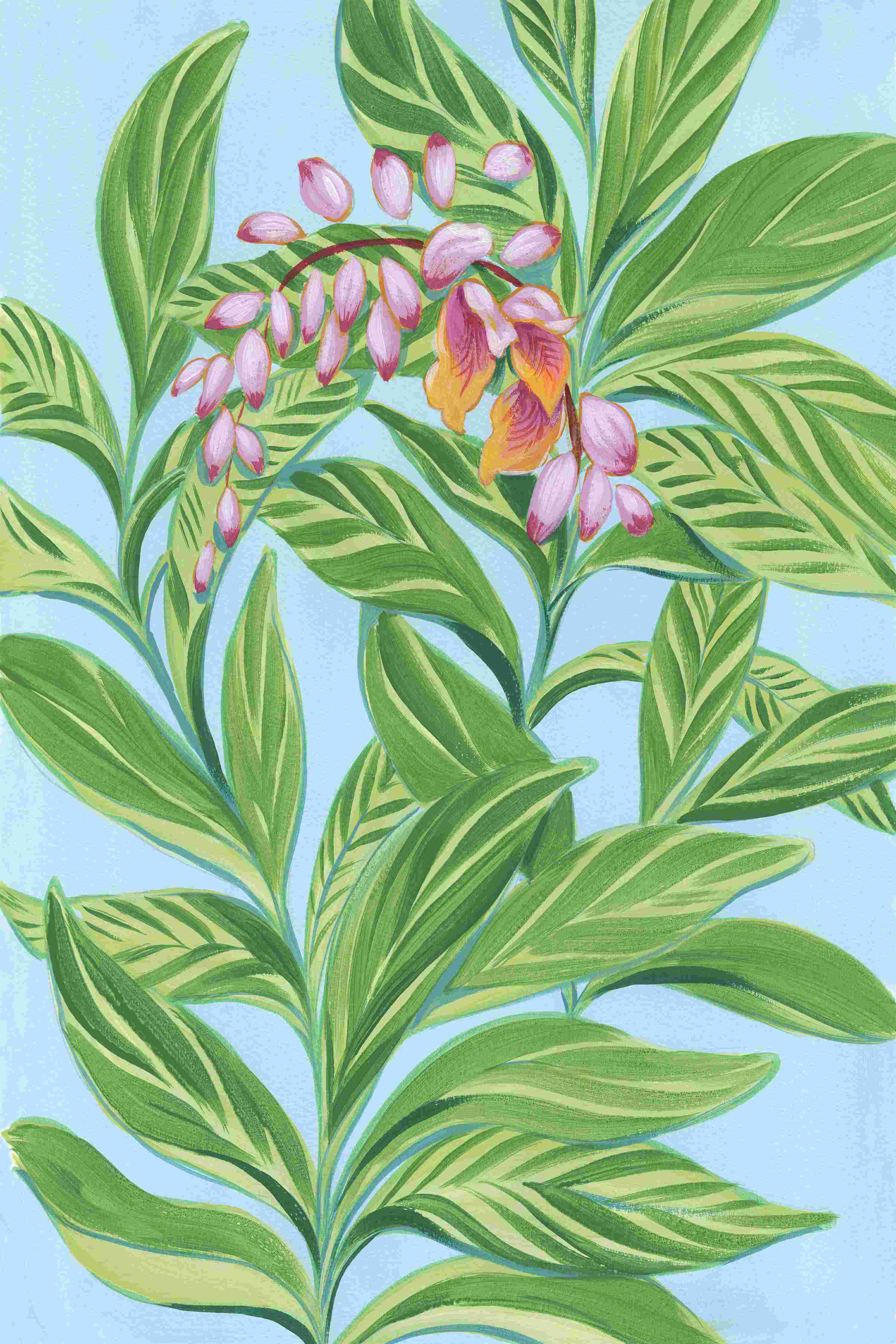 Winston Porter Tropical Shell Ginger I by Laura Marr - Print - Wayfair ...