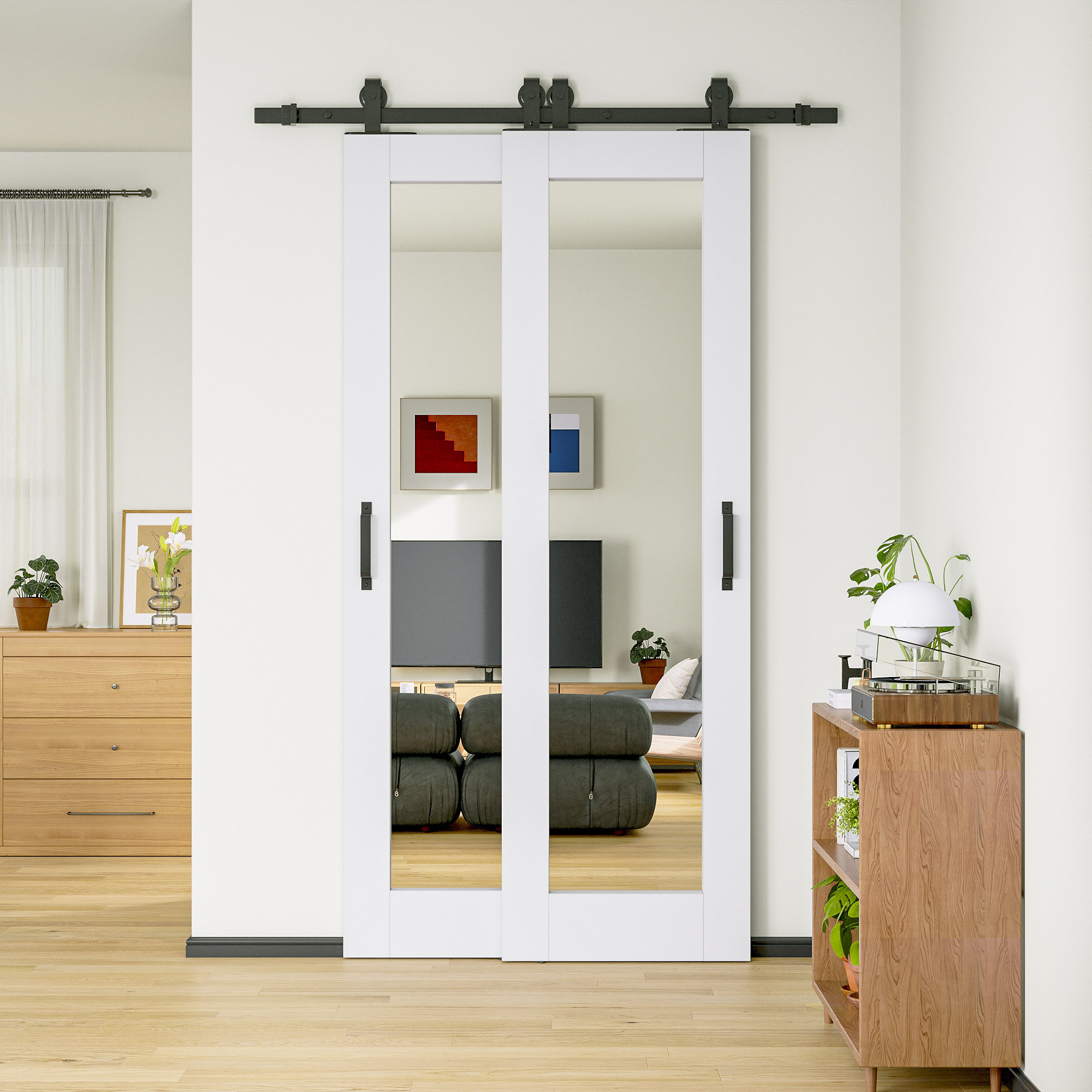 Mirrored Sliding Barn Door
