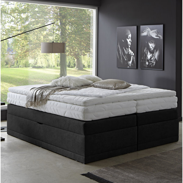 Zipcode Design Boxspringbett Rena mit Stauraum & Reviews | Wayfair.de