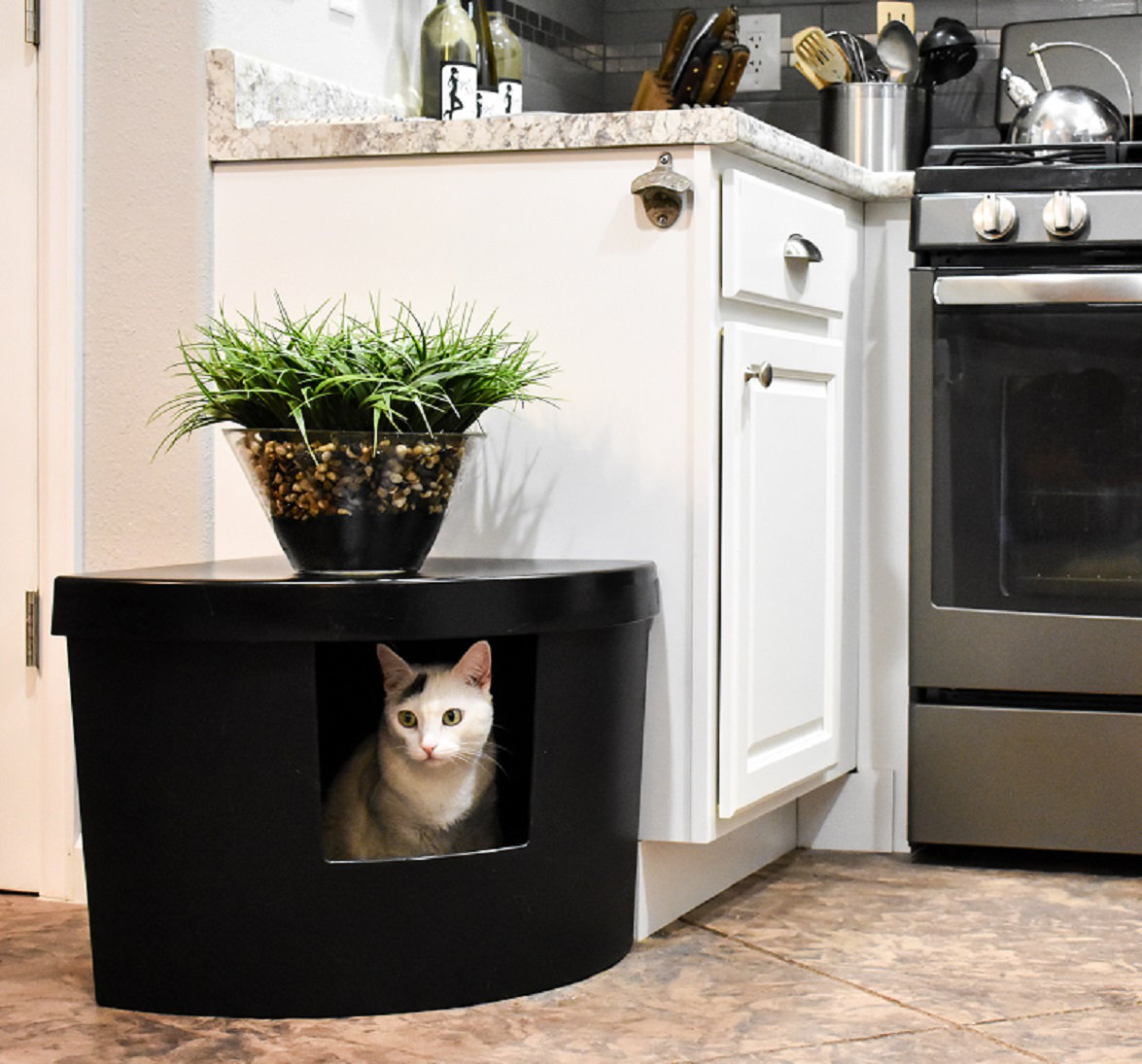 Kitangle, LLC Large Litter Box - Corner Kitty & Reviews | Wayfair