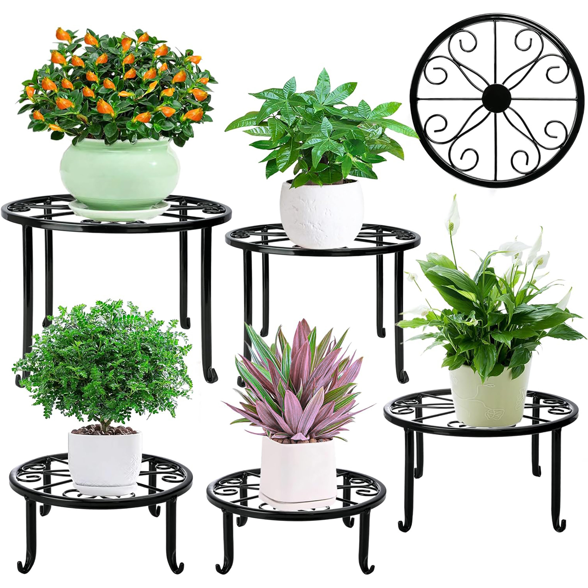 Red Barrel Studio 5 Pack Heavy-Duty Metal Plant Stands, Round Design for Multiple Indoor and ...