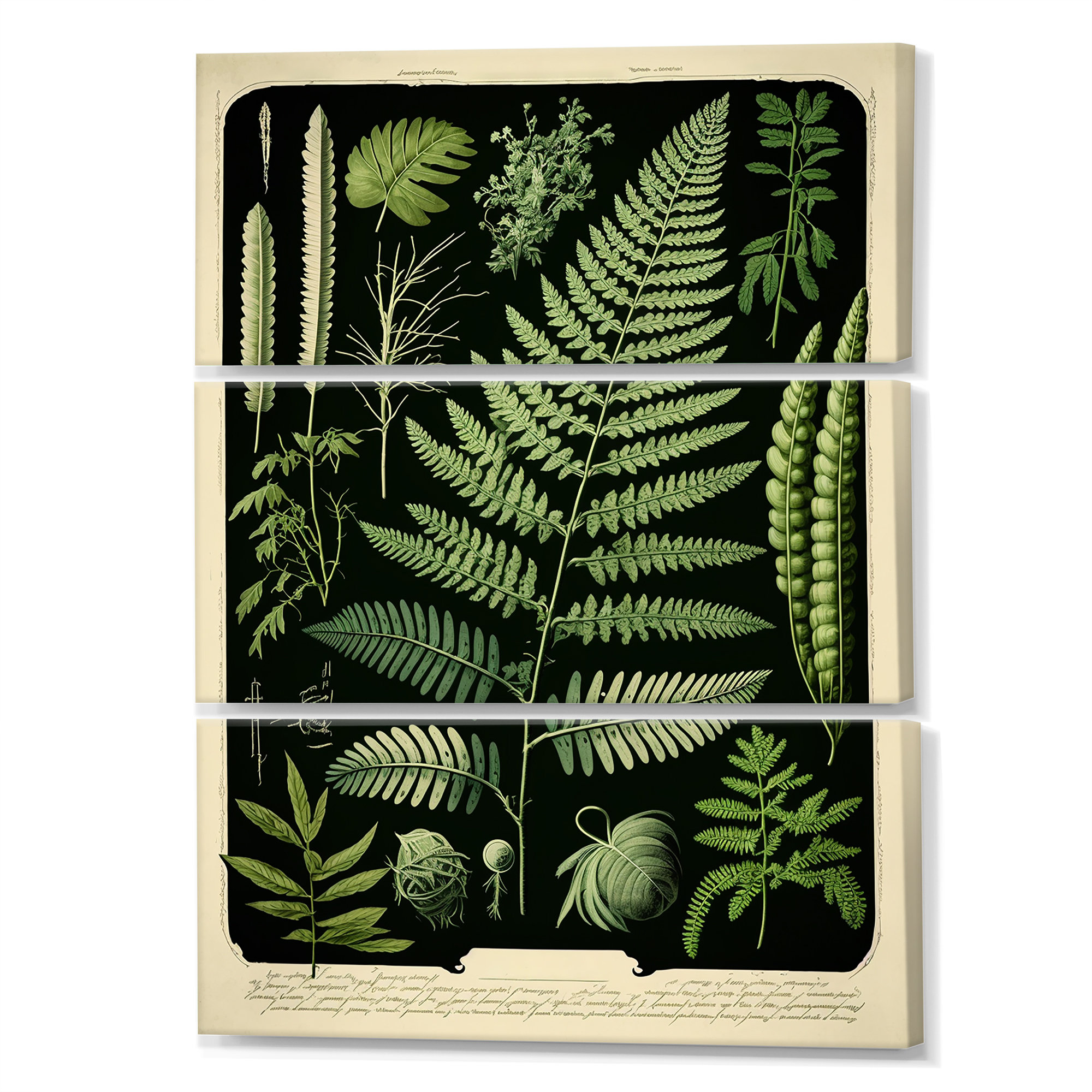 Design Art Fern On Retro Victorian Chart III - Floral Ferns Canvas Wall ...