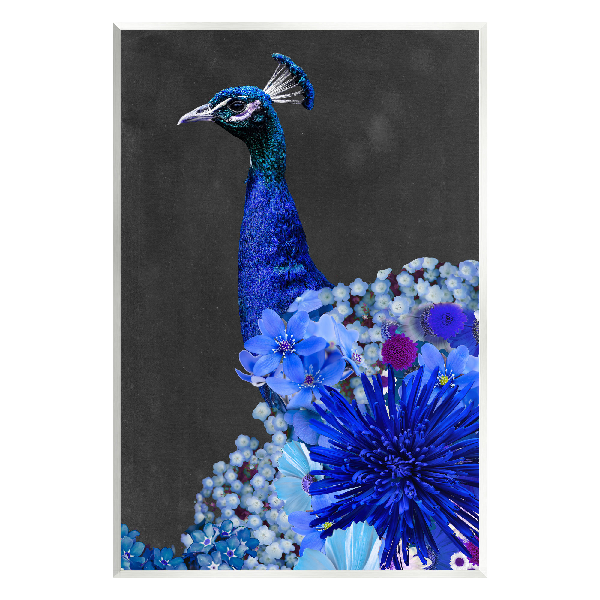 Stupell Industries Vibrant Blue Floral Peacock On MDF by Alicia Longley ...