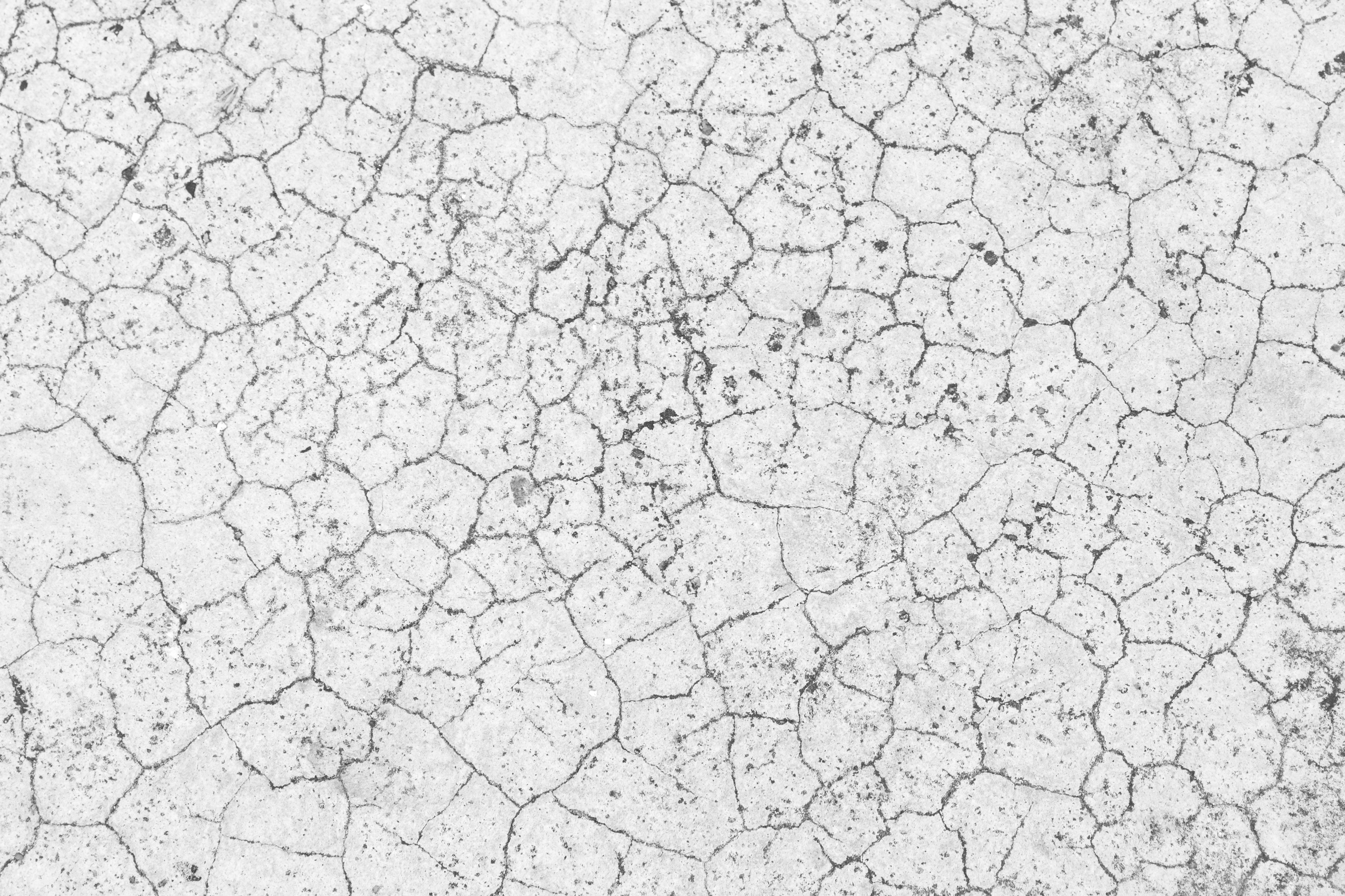 Orren Ellis Crack Floor by Wachiwit - Wrapped Canvas Print | Wayfair