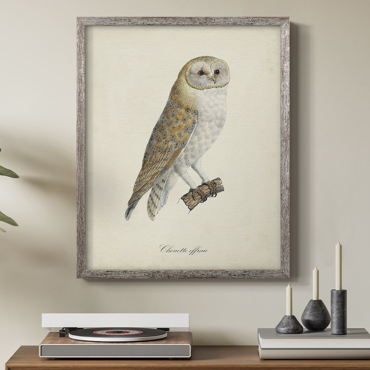 Ophelia & Co. French Owls VI Framed Print - Solid Wood | Wayfair