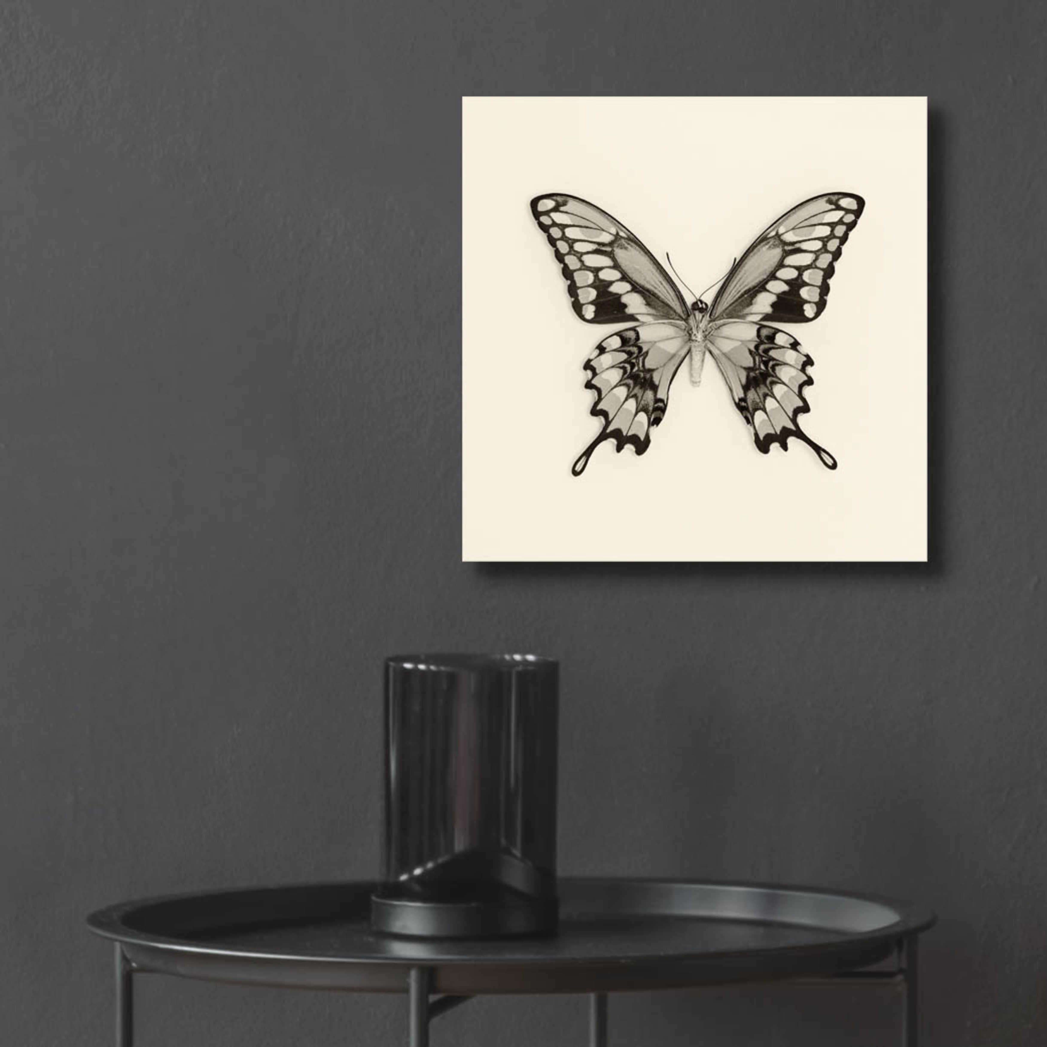 August Grove® ''Butterfly VI BW'' By Debra Van Swearingen, Acrylic ...