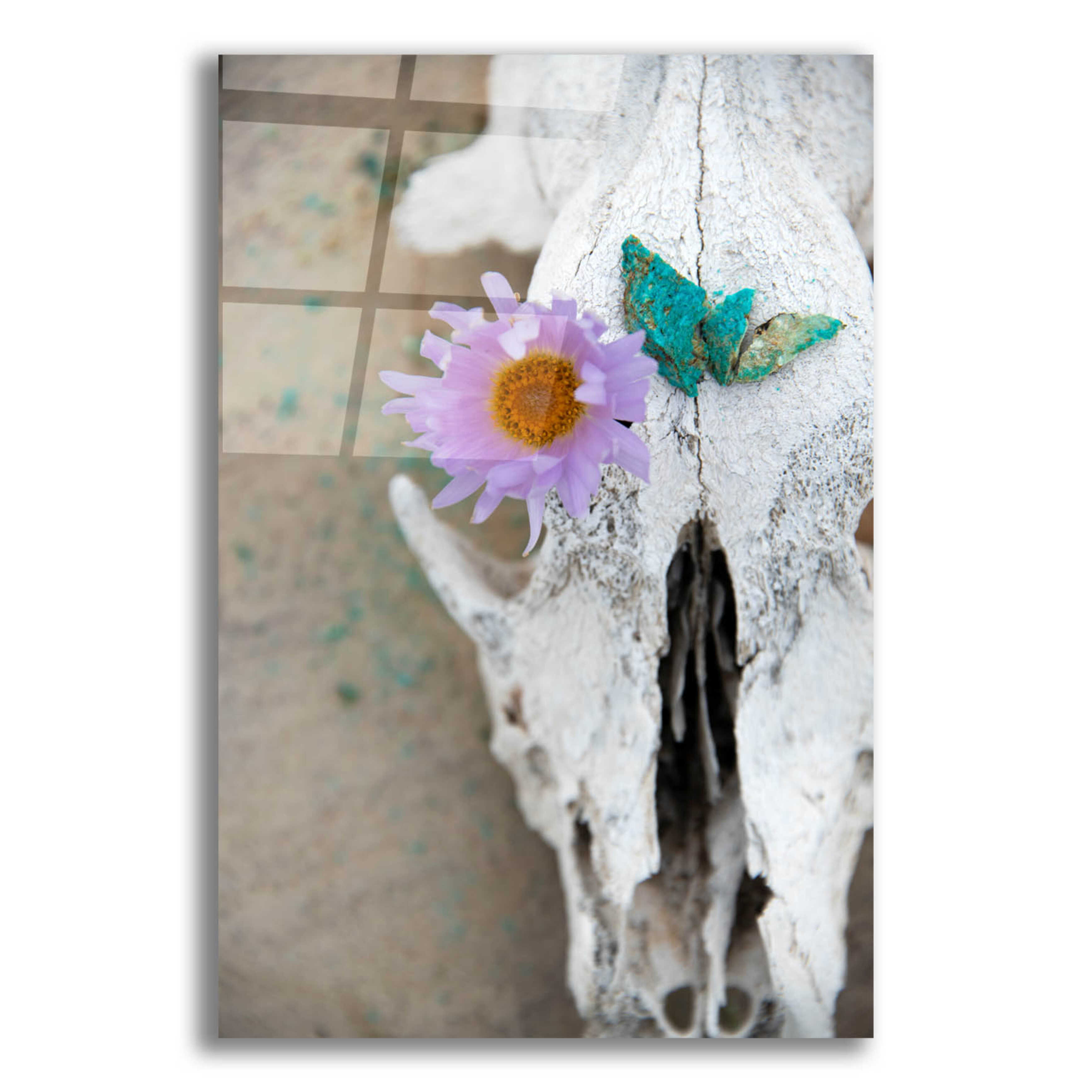 Latitude Run® Coyote Shaman by Elena Ray - Unframed Photograph | Wayfair