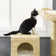 Archie & Oscar Durrant 100.5cm H Cat Tree | Wayfair.co.uk