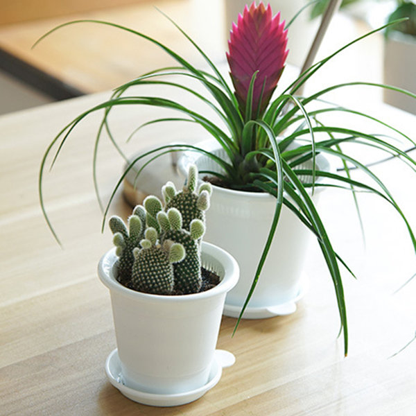 Arlmont & Co. Grae Pot Planter - Wayfair Canada