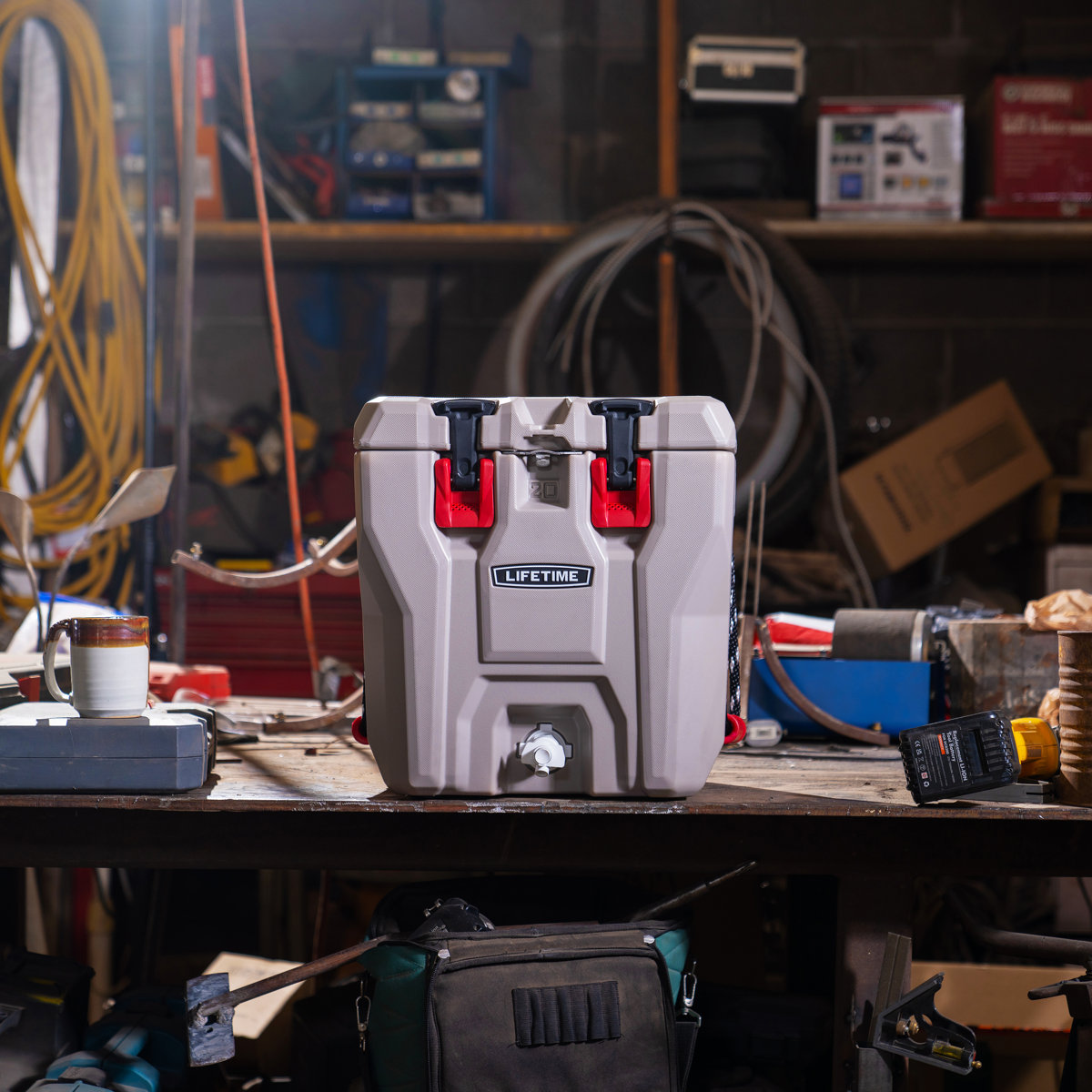 Lifetime 20 Qt. Ice Chest Cooler | Wayfair