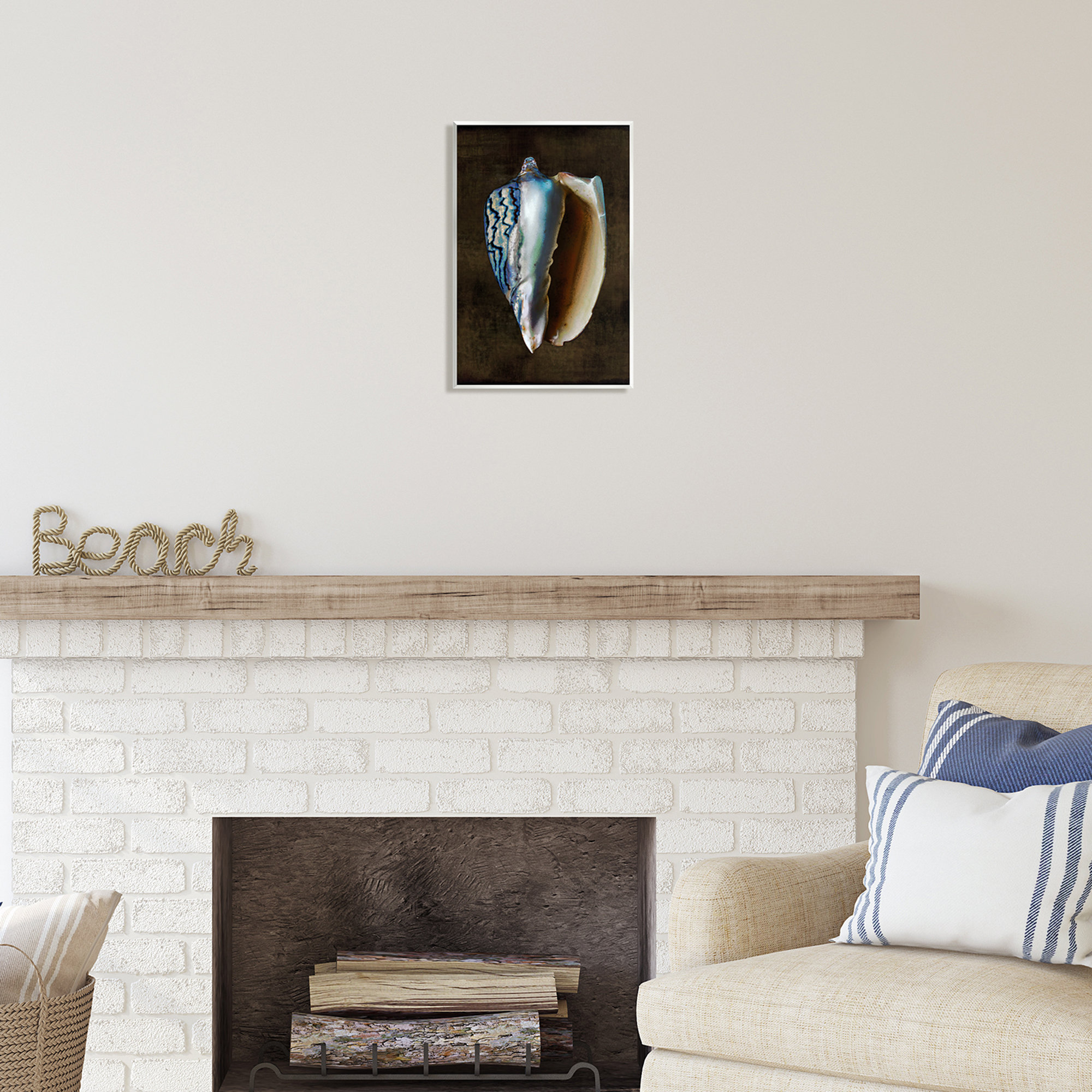 Stupell Industries Conch Shell On Black by Caroline Kelly | Wayfair