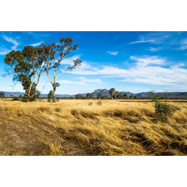 Ebern Designs Grassland Landscape On Canvas by Loeskieboom Print | Wayfair