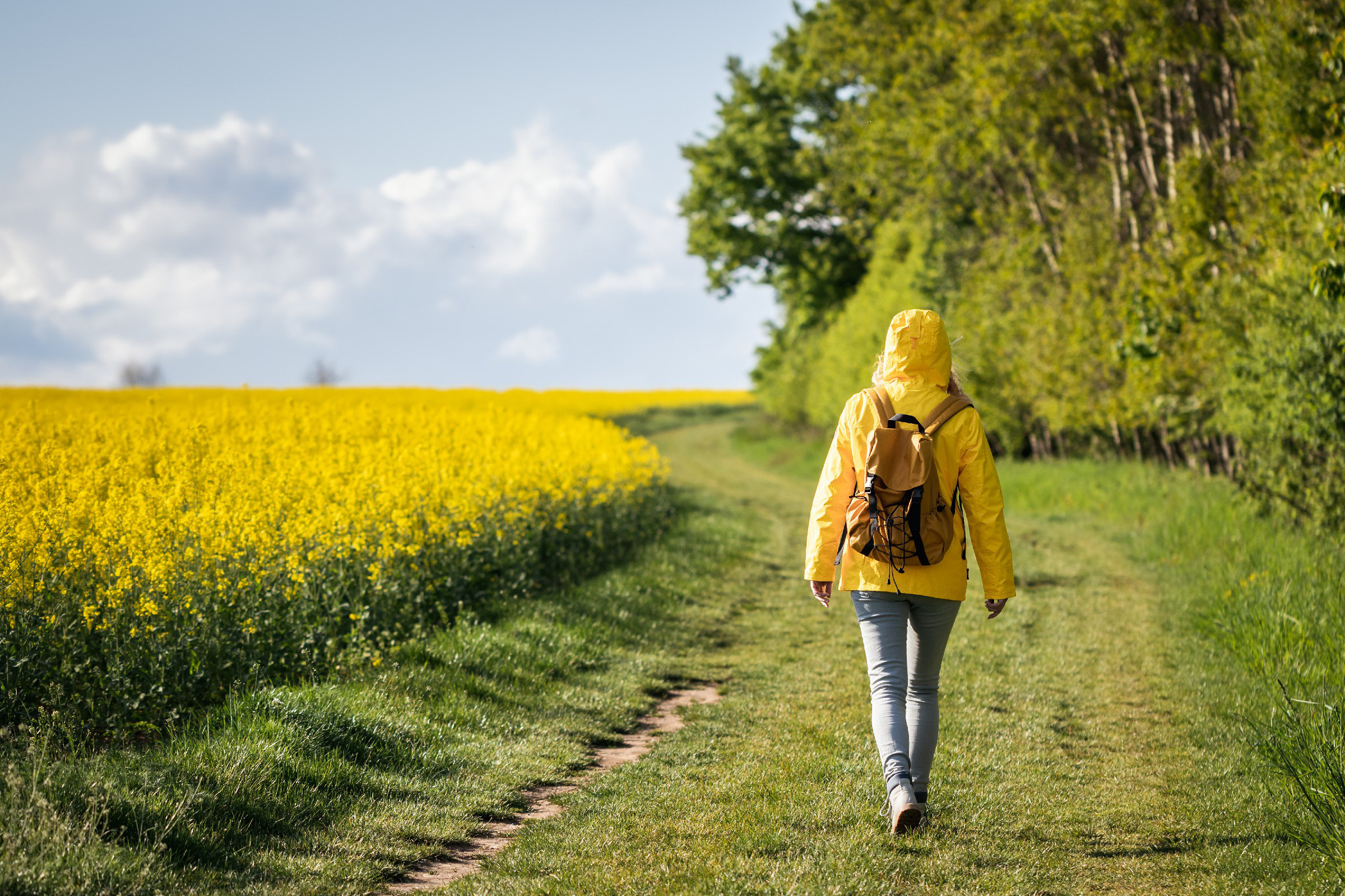 Gracie Oaks Spring Walk | Wayfair
