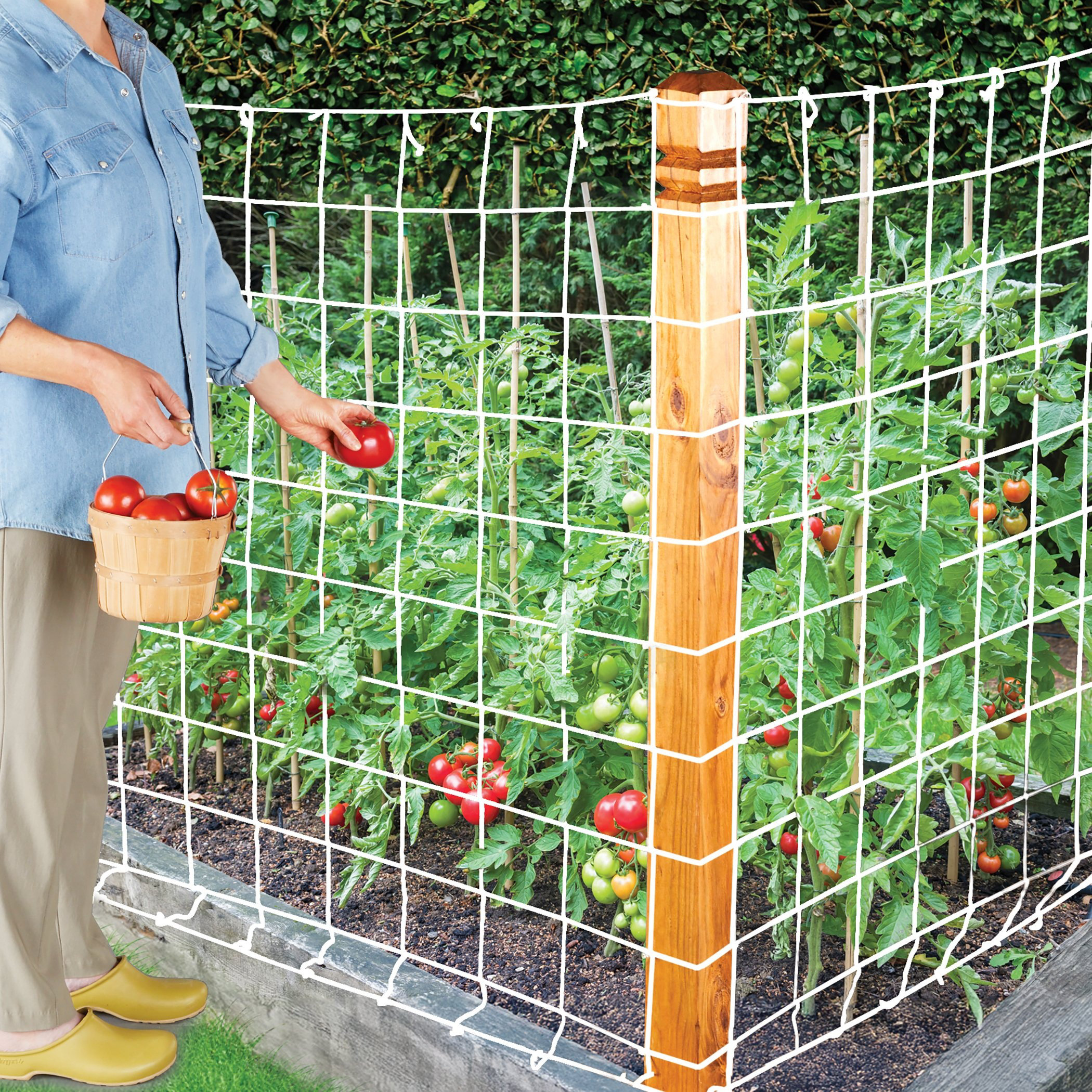Arlmont & Co. Heavy-Duty Garden Plant Trellis Mesh Netting - Wayfair Canada