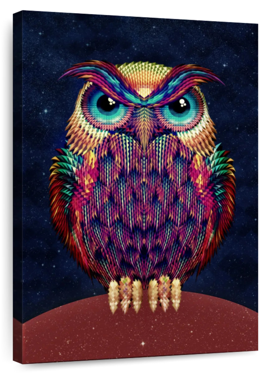 Ebern Designs Brampt Colorful Midnight Owl | Wayfair