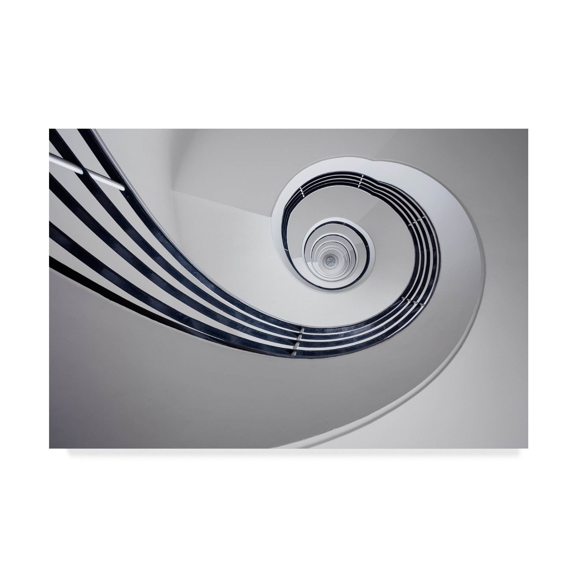 Trademark Fine Art 'Fibonacci White Spiral' Graphic Art Print on ...