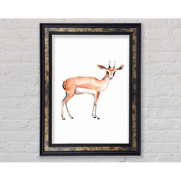 Bright Star Springbok - Single Picture Frame Print | Wayfair.co.uk