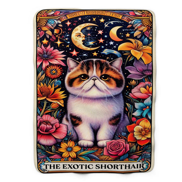 MentionedYou The Exotic Shorthair Tarot Card - 1 Piece Premium Throw ...