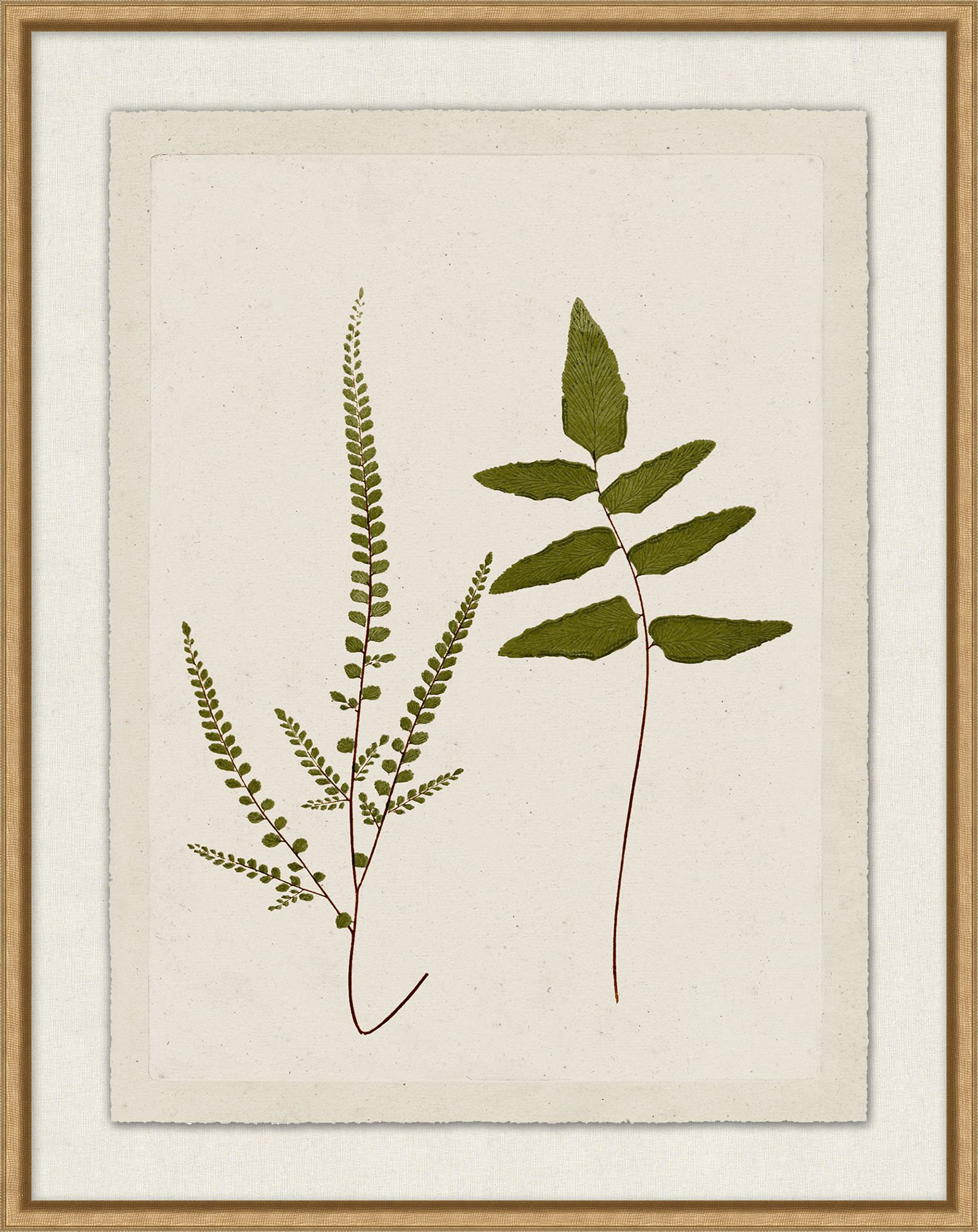 Wendover Art Group Plant Presses 1 | Perigold