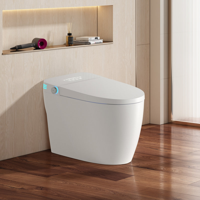 TOKYODO Smart Bidet Toilet with Auto Flush, Heated Seat, and Remote ...