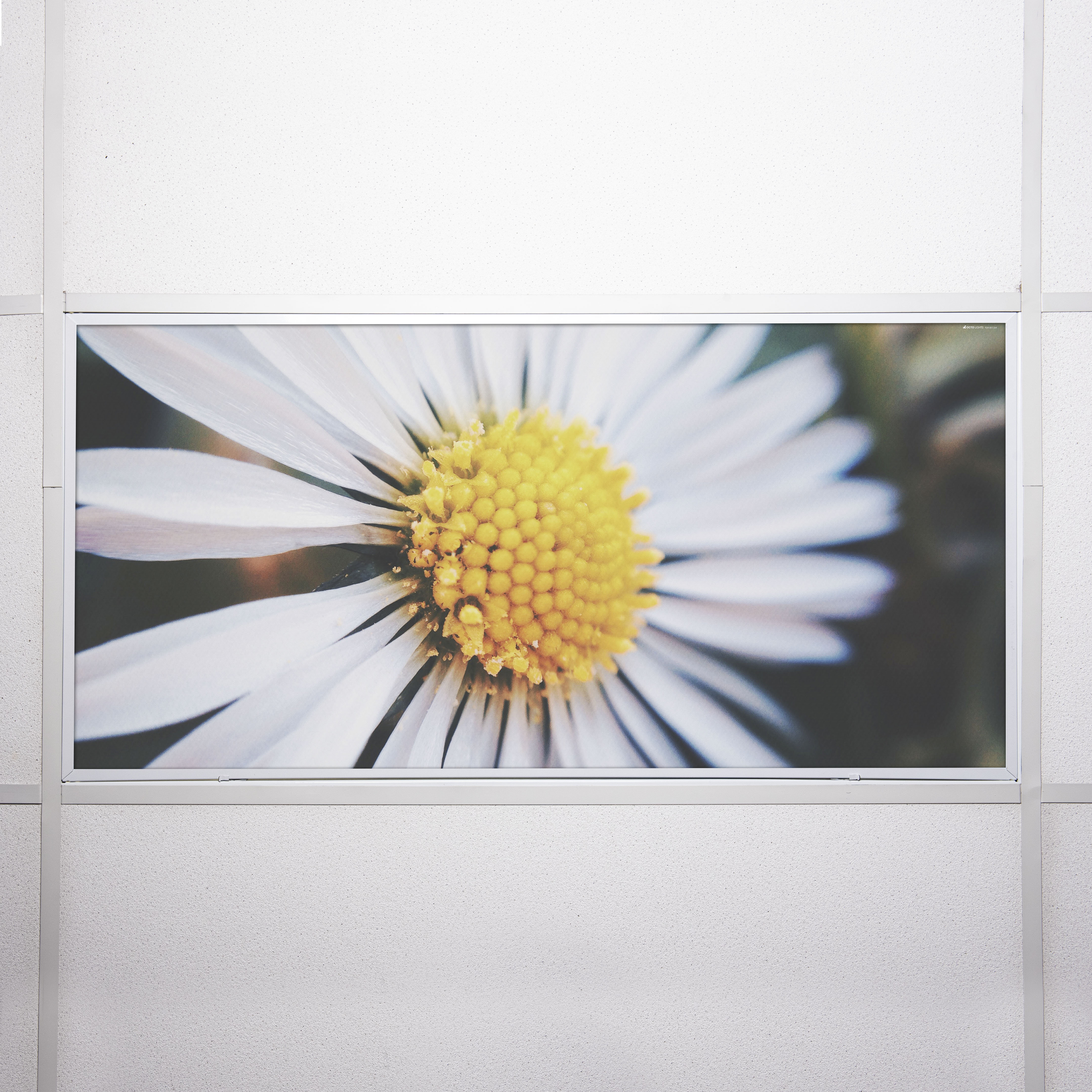 Octo Lights - Fluorescent Light Covers - Flexible Decorative Light ...