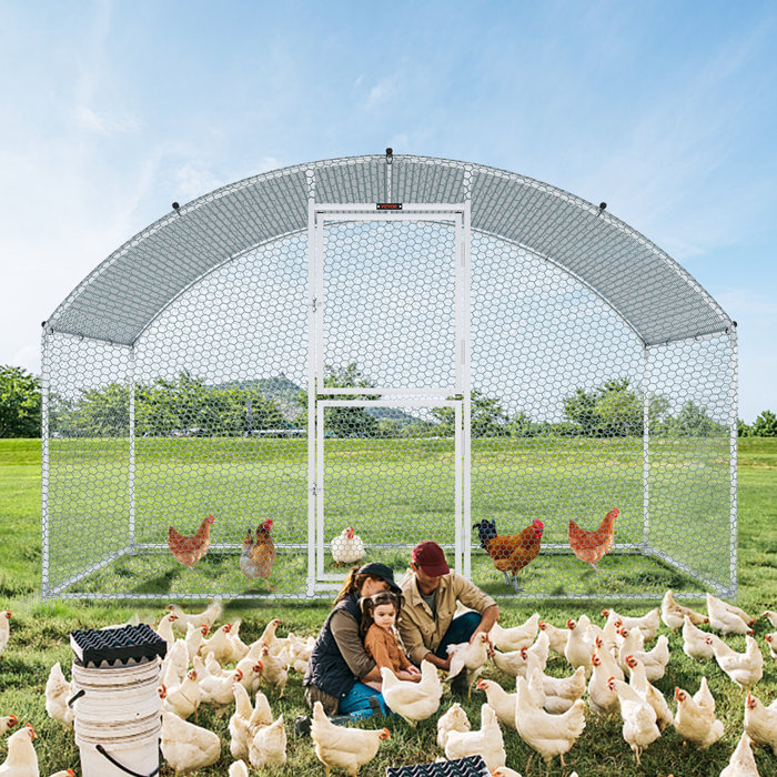 Tucker Murphy Pet™ Darzell Chicken Coop with Chicken Run | Wayfair