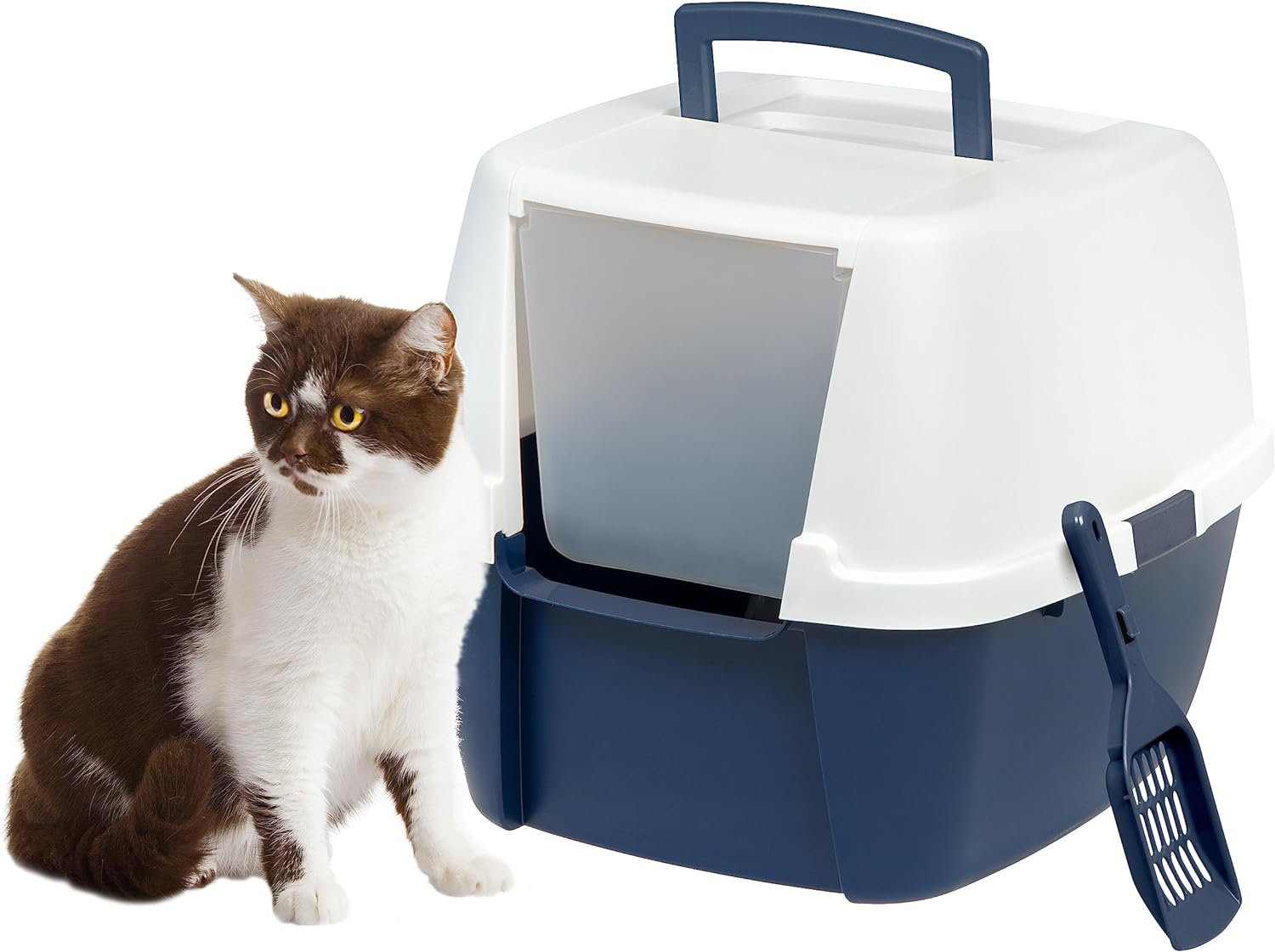 Tucker Murphy Pet™ Cat Litter Box, Enclosed Litter Box With Front Door ...