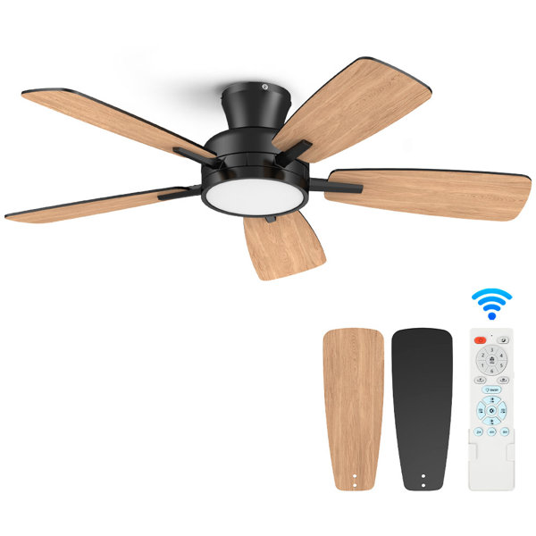 non-brand 46 Inch Ceiling Fan With Light and Remote Control (Set of 2 ...
