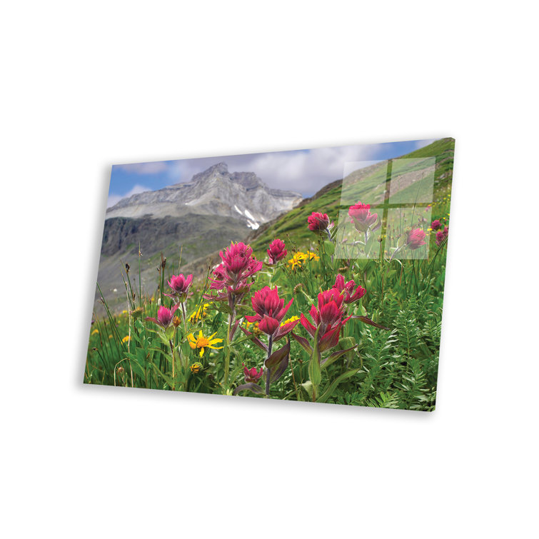 Loon Peak® Paintbrush Flowers, Yankee Boy Basin, Colorado by Tim ...
