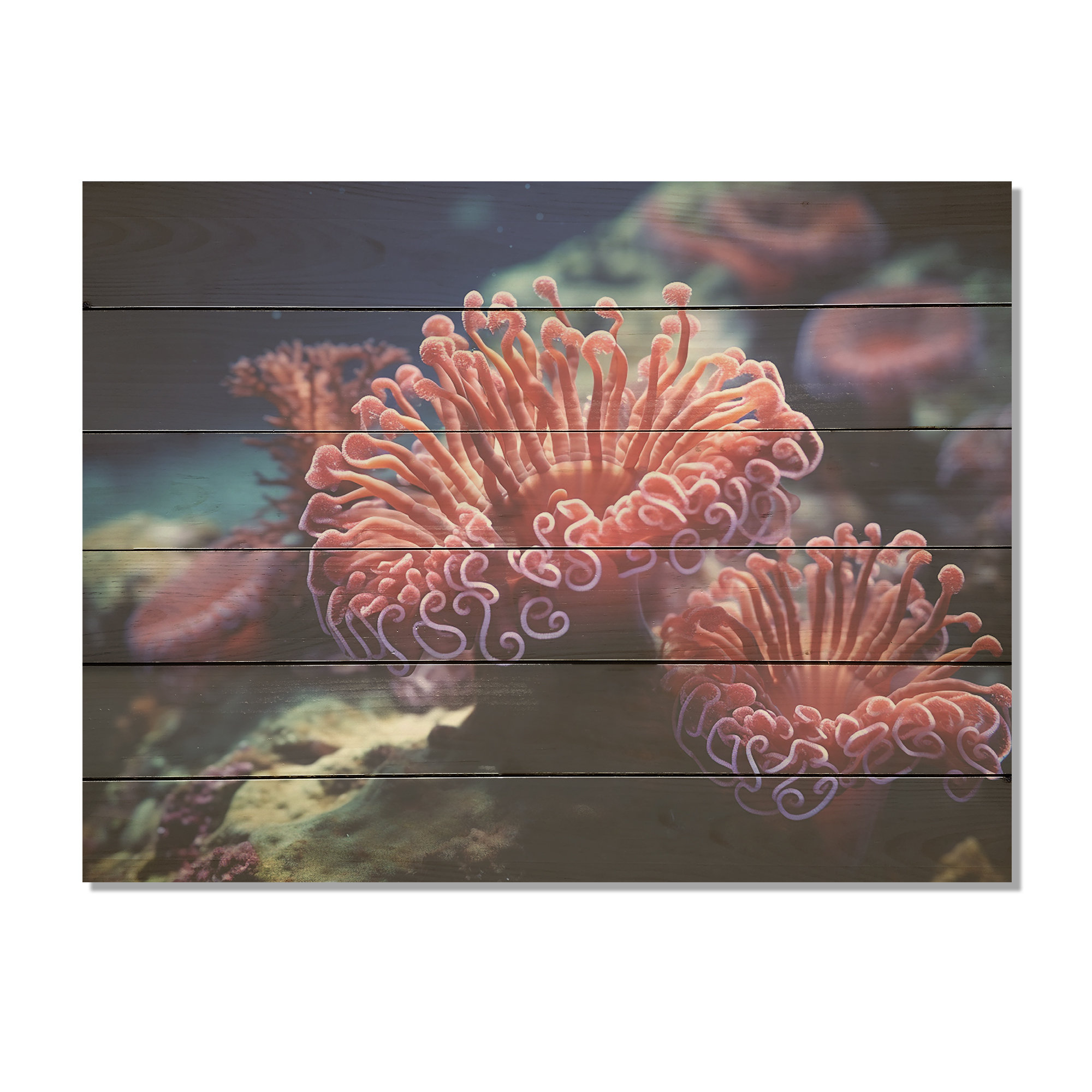 Beachcrest Home™ Colorful Anemone Reef - Coastal Coral Under Water Wood ...