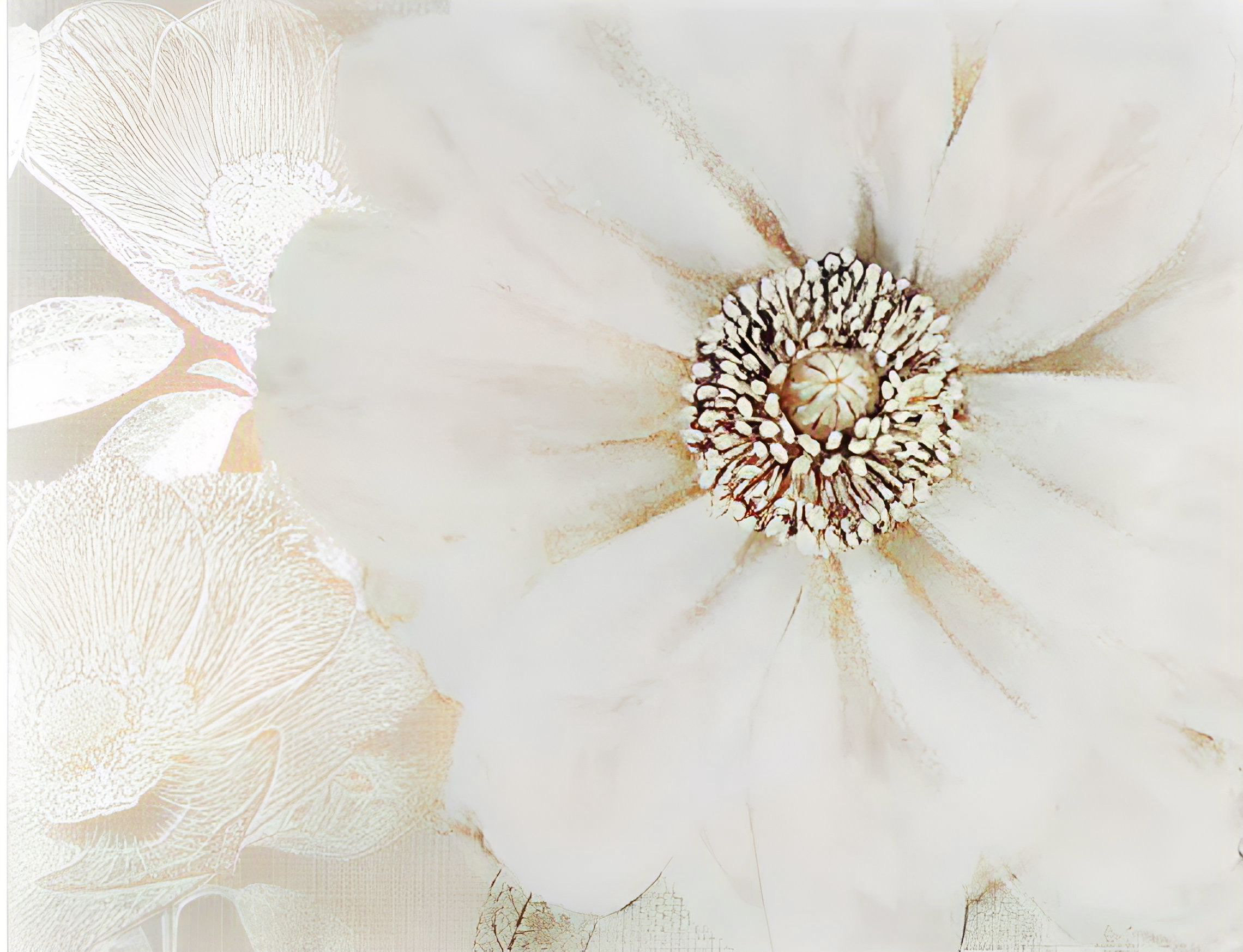 Plaster Textured Wall Art Resin Flower and Plaster Textured 3D Wall Art ...