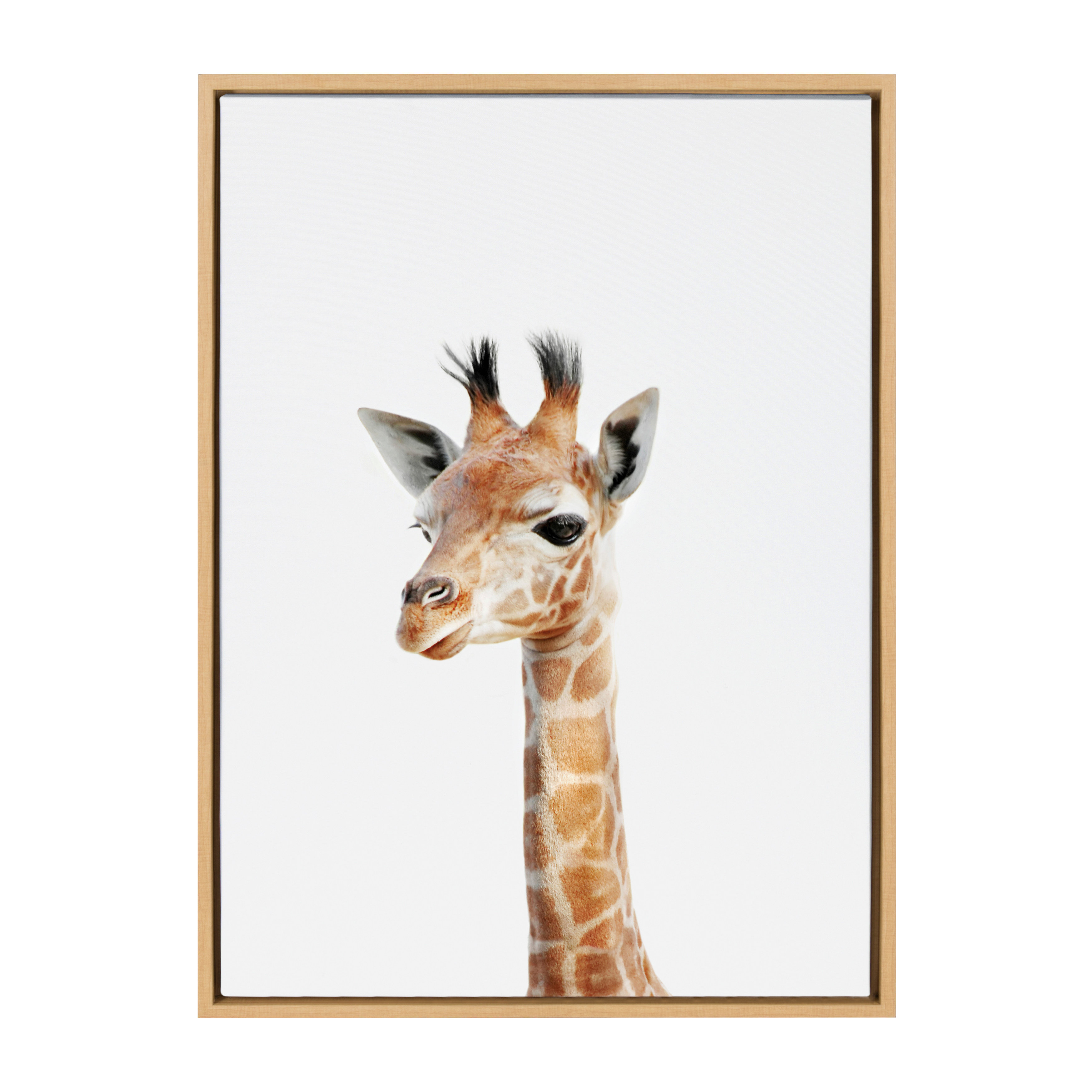 Trinx Animal Studio Giraffe by Amy Peterson Framed Canvas Wall Art ...