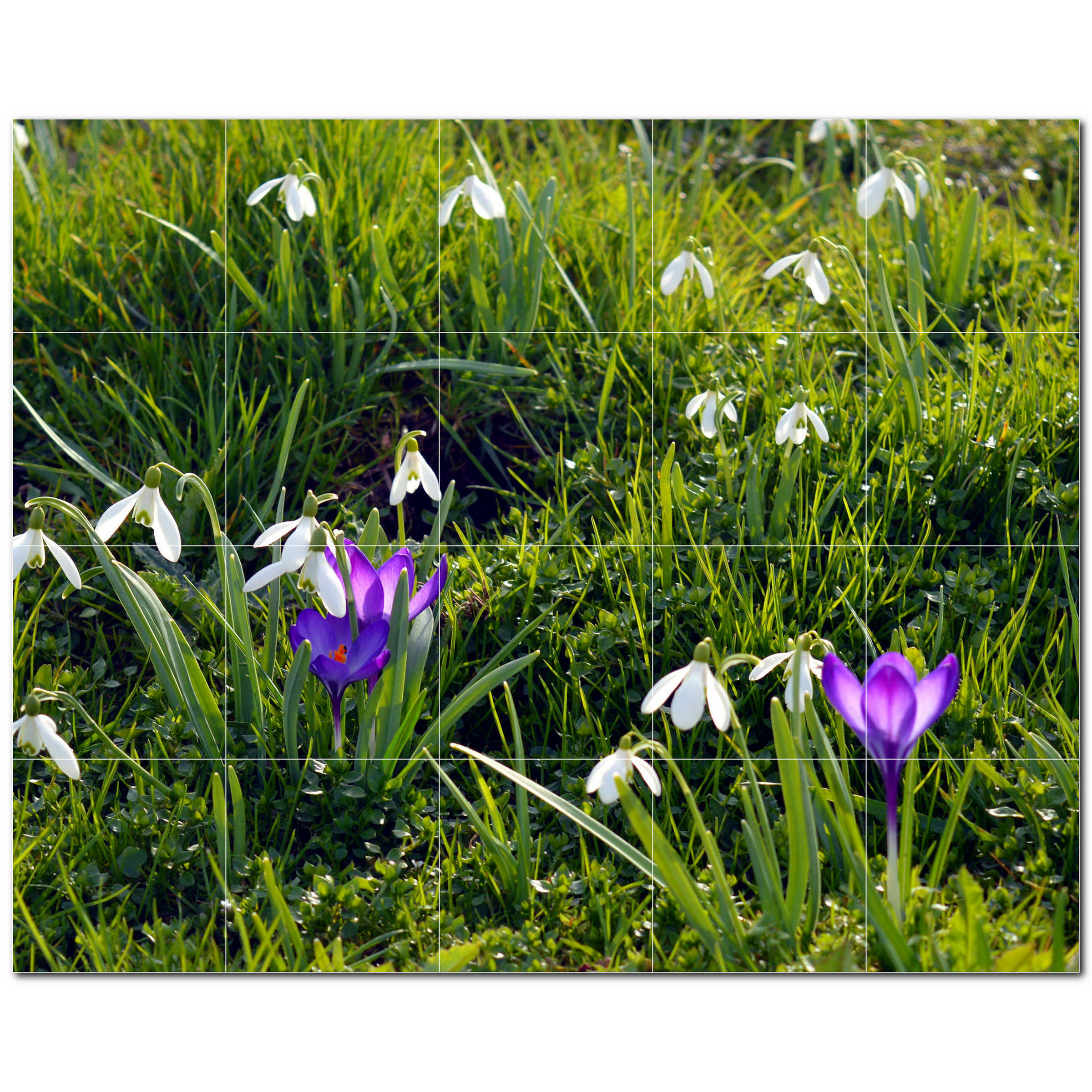 Picture-Tiles.com 40" x 32" Ceramic Spring Photo Decorative Mural Tile ...