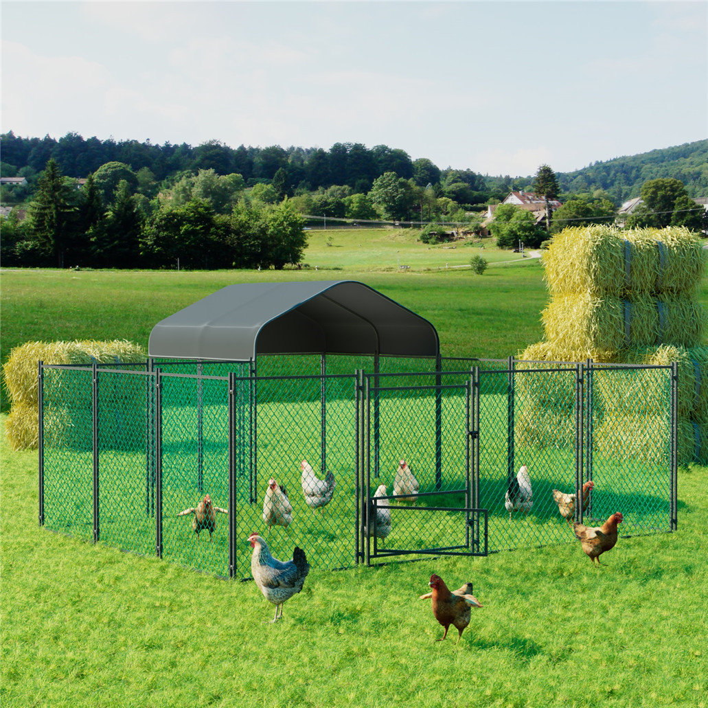 Archie & Oscar Siloam Walk in Chicken Run & Reviews | Wayfair.co.uk