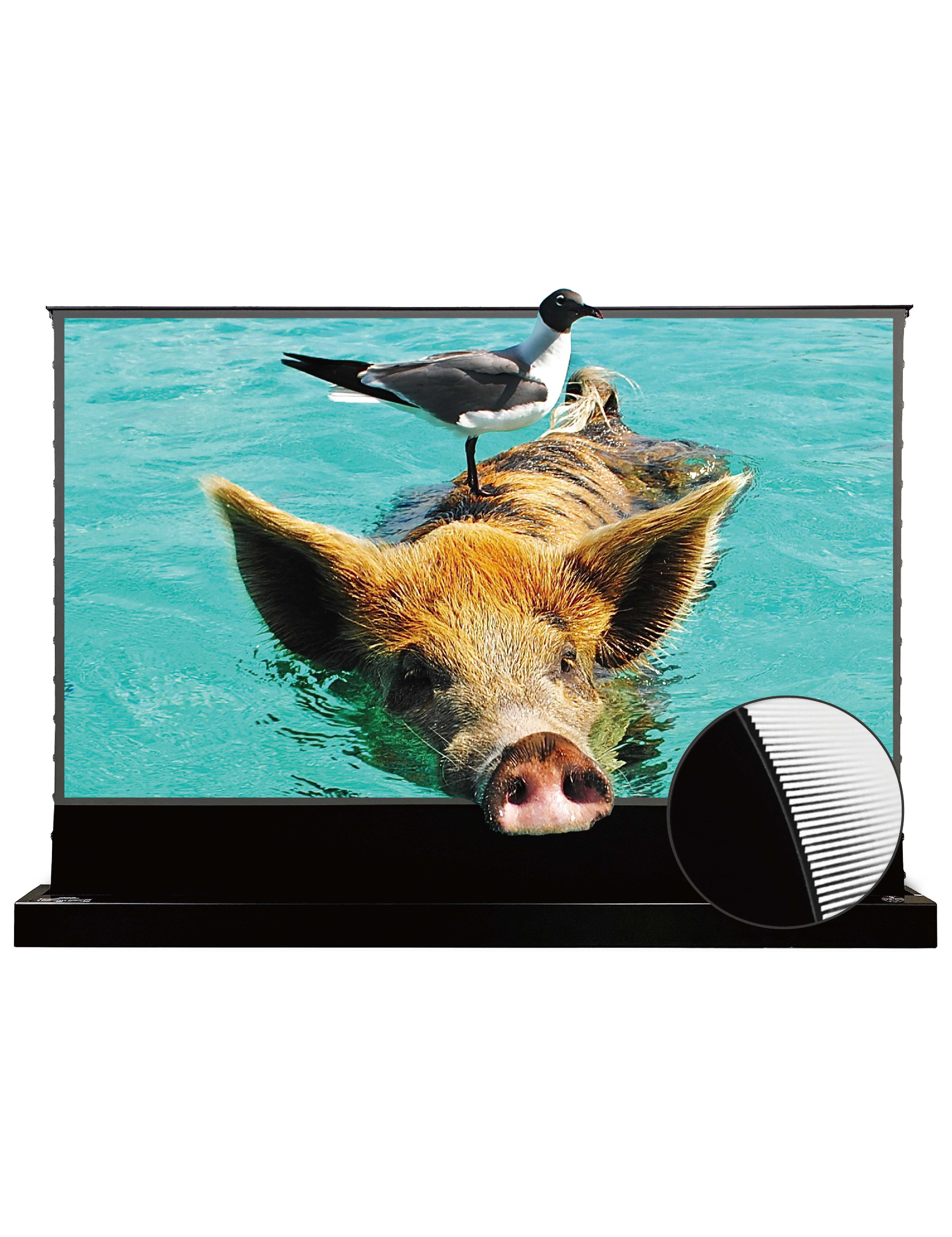 VIVID STORM SINCE 2004 Vividstorm-alr Projector Screens S Pro 84 Inch ...