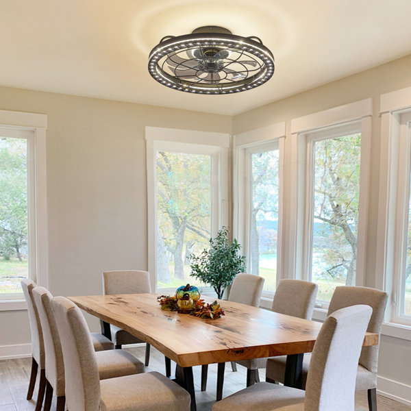 Wrought Studio 19'' Dimmable Caged Ceiling Fan with LED Lights ...