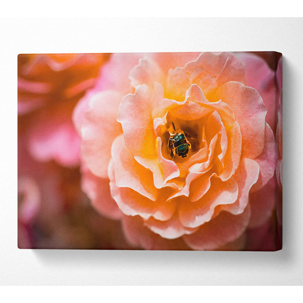ClassicLiving Bee Chilling In A Flower - Wrapped Canvas Art Prints ...