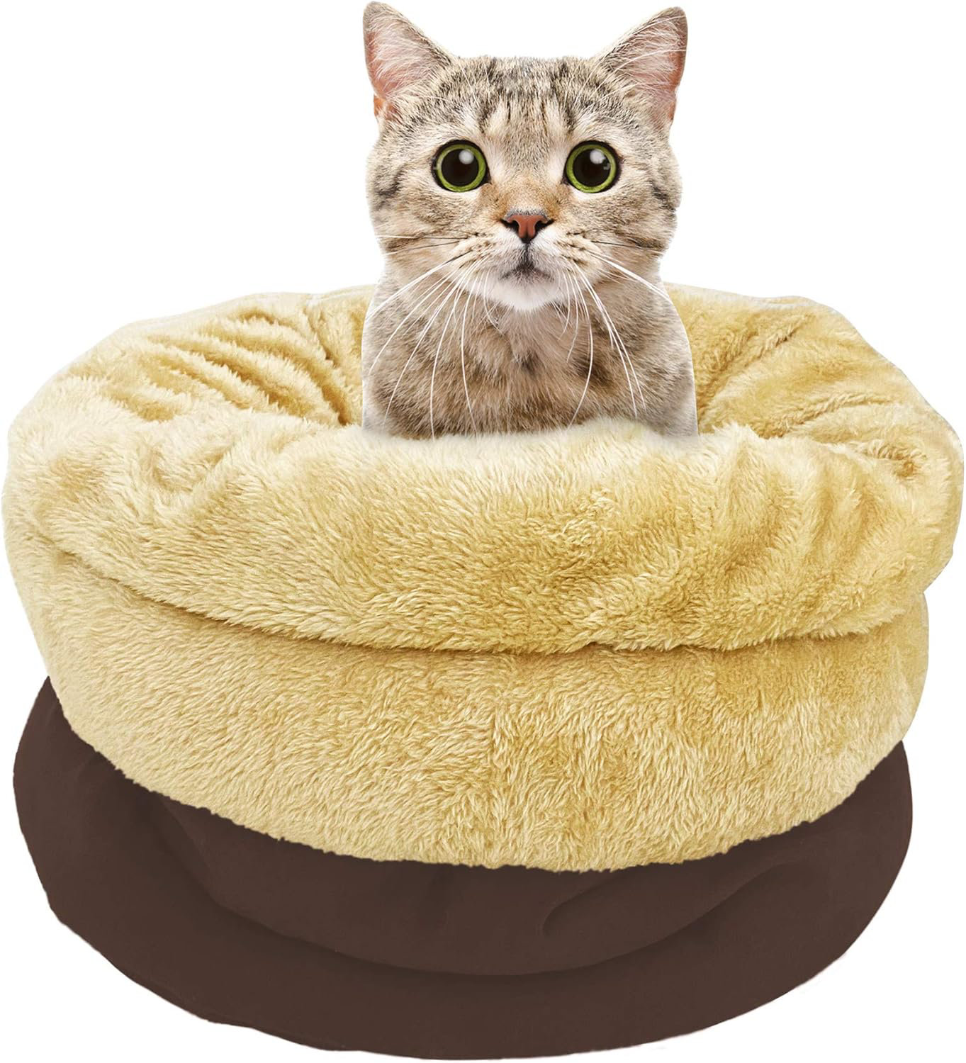 Foundry Select 4 In 1 Self Warming Burrow Cat Bed, Pet Hideway Sleeping ...