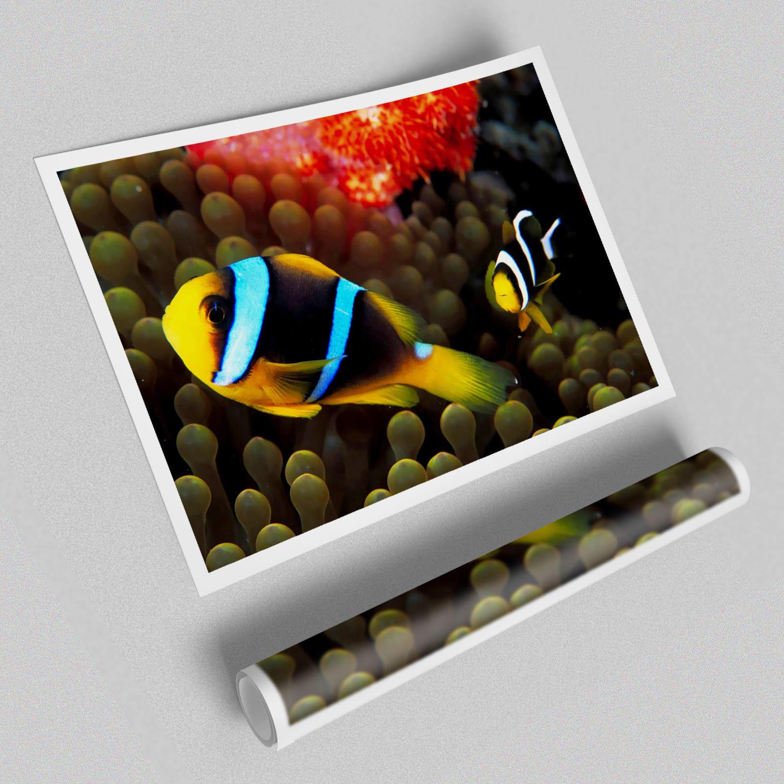East Urban Home Neon Clown Fish - Graphic Art Print on Paper | Wayfair ...
