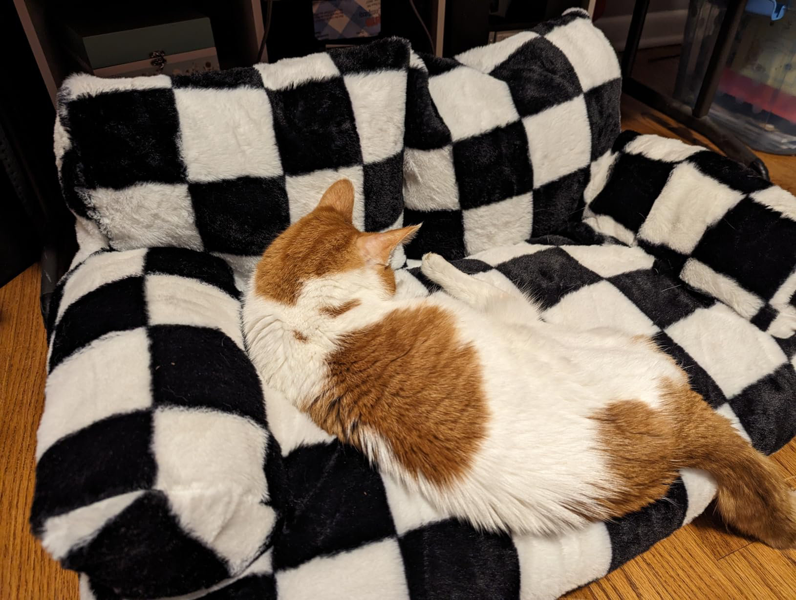Tucker Murphy Pet™ Garneta Cotton Pet Sofa | Wayfair