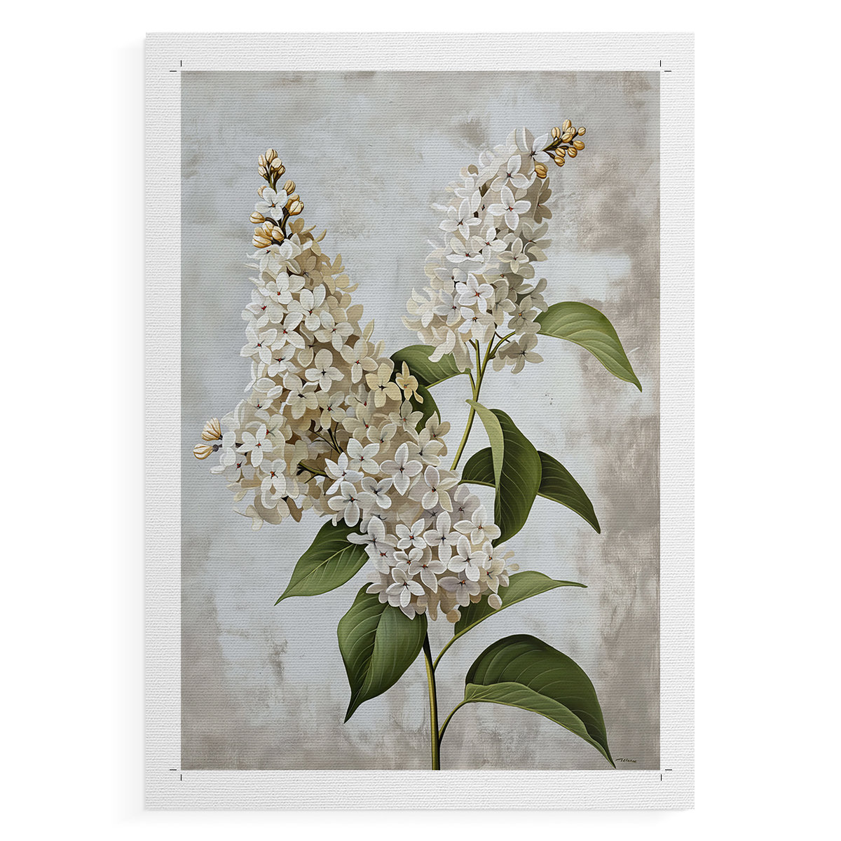 Red Barrel Studio® FLORAL Series CCLIX -Canvas Print Only - NOT FRAMED ...