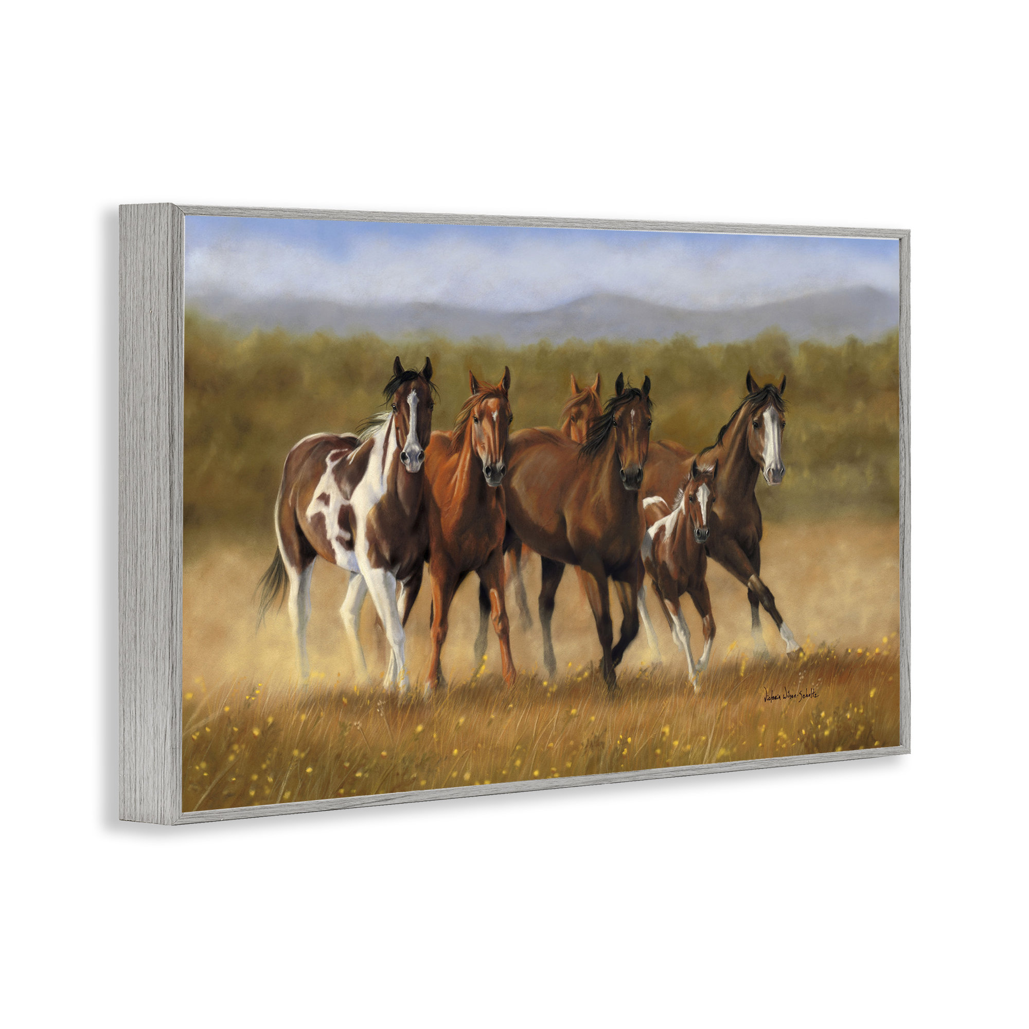 Stupell Industries Foal's First Run Art by Victoria Schultz | Wayfair