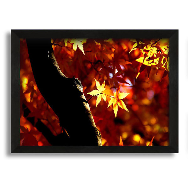 Ebern Designs Tree Trunk Autumn - Print on Canvas | Wayfair.co.uk
