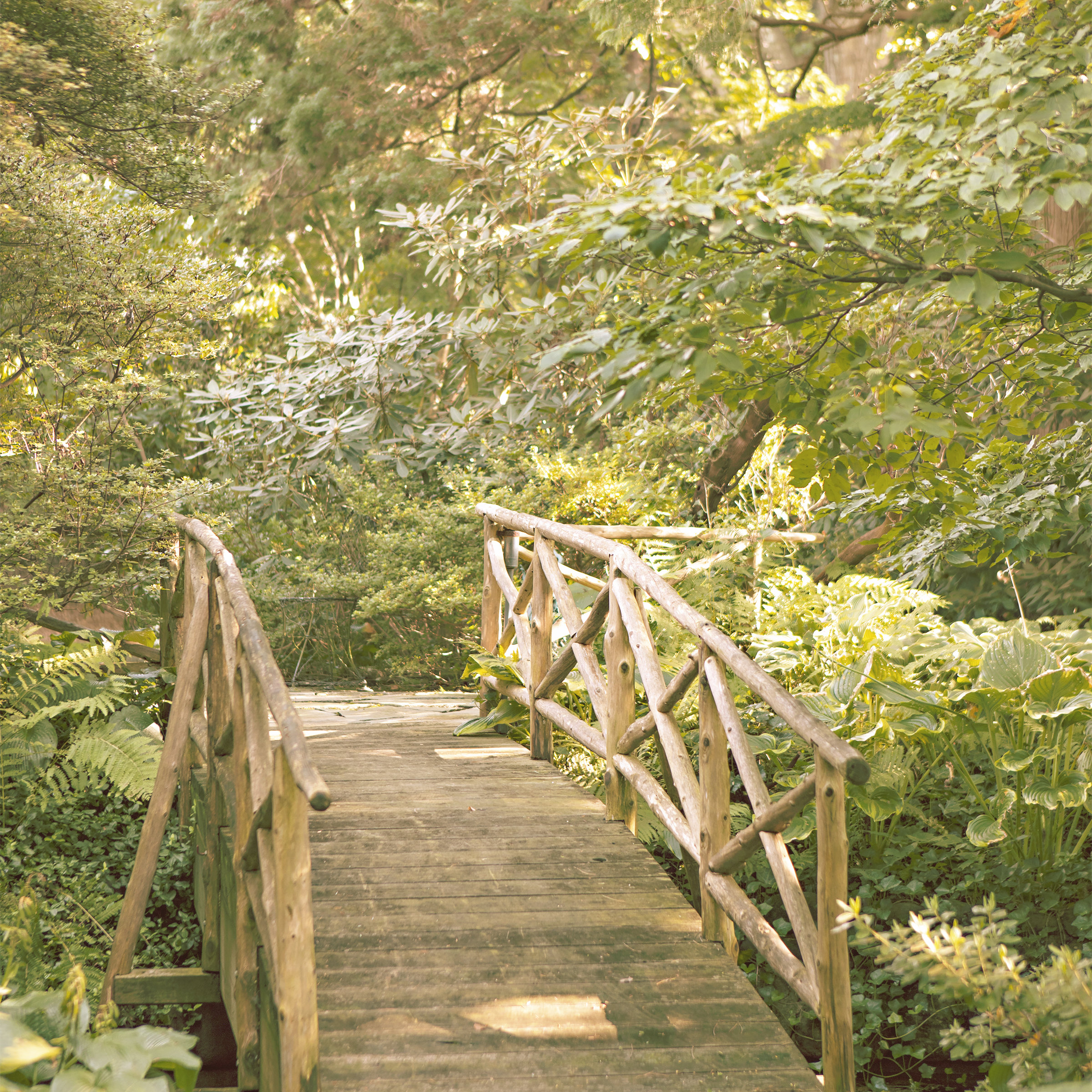 Chelsea Art Studio Paz II by Karyn Millet - Photograph | Perigold